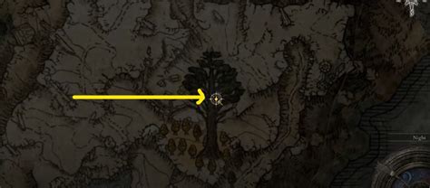 How To Get Miniature Ranni In Elden Ring