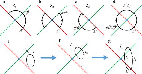 Typical Loops Carrying Nontrivial Or Trivial Topological Invariants