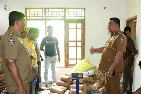 ඇඹිලිපිටියෙන් ගංජා කිලෝ 1000ක් හමුවේ Lankadeepa Online