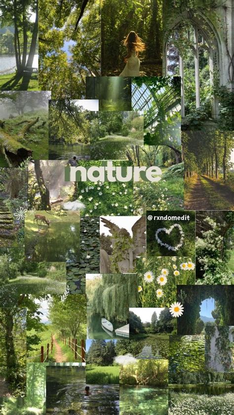 Nature Themed Wallpaper For Iphone And Samsung