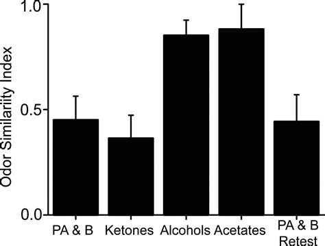 Adrenergic Modulation Of Olfactory Bulb Circuitry Affects Odor