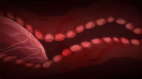 Sukebe Tsuyu Gibo Shimai No Honshitsu Minuite Sex Sanmai 4k60 02