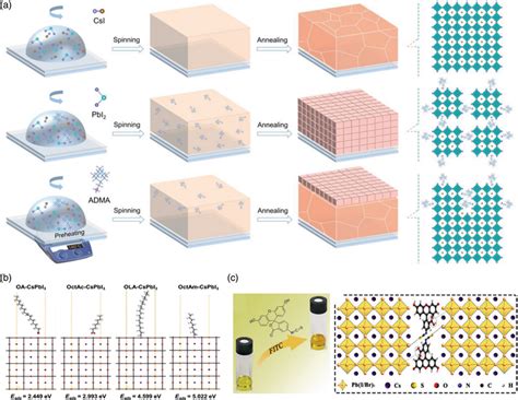 Schematic Diagram Of Perovskite Precursor Solution With Hema Molecular