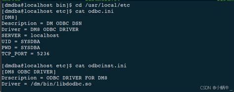 Dm数据库——odbc连接dm数据库dm数据库连接 Csdn博客