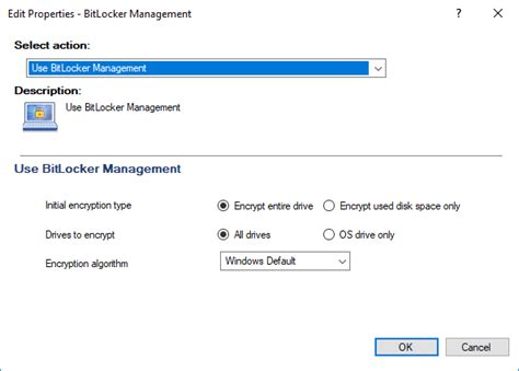 Use Bitlocker Nevadalena