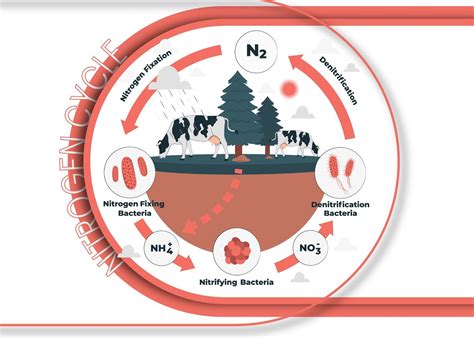 South Asias Excess Nitrogen Heavily Contribute To Climate Crisis