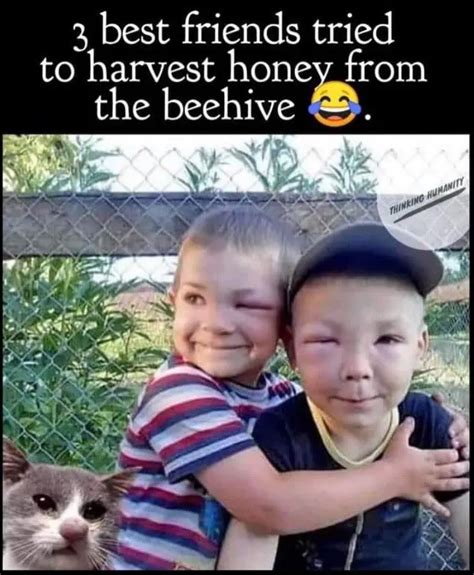 A Call For Humor Page 1897 Audio Science Review Asr Forum