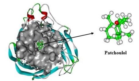 Patchoulol Bound To The Active Site Of Na The Surface Shape Of The Na Download Scientific