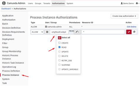 How To Create A View Only User In Cockpit Discussion And Questions Camunda Forum