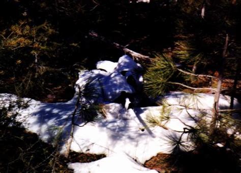 What Is A Sniper Sniper Central