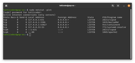 How To Check If Tcp Port Is Open Closed Or In Use On Linux Cpanel Plus