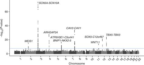 Manhattan Plot Of Genome Wide Association Analysesgenome Wide Download Scientific Diagram