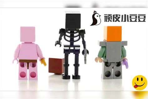 拼装乐高积木我的世界系列21139，冥界之争