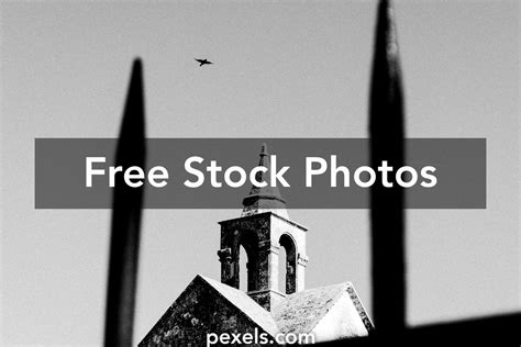 Bird Architecture Photos Download The Best Free Bird Architecture