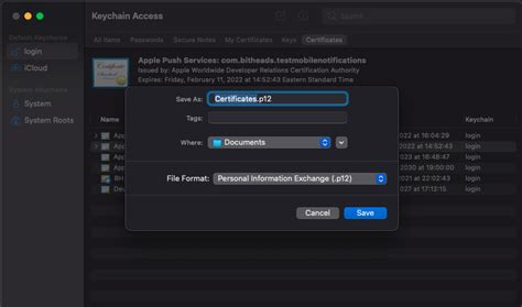 Push Notification Configuration Ios Braincloud Docs