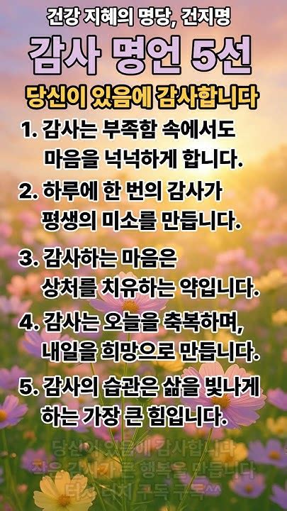 오늘의 감사 명언 5선 🌸 작은 감사가 큰 행복을 부릅니다 오늘의명언 명언 긍정적마인드 짧은명언 긍정의한줄 좋은글 숏폼명언 지혜 긍정의말 하루한줄