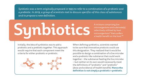 Synbiotics More Than Simply A Probiotic Prebiotic Combination