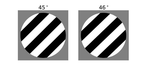 High Precision Coding In Visual Cortex