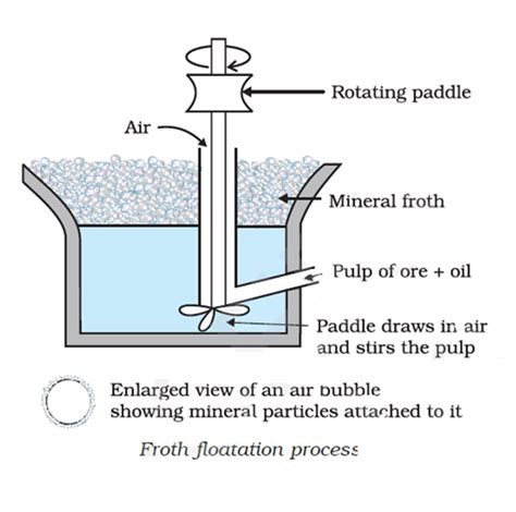 Froth Flotation Process