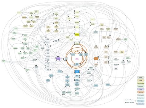 2 A Causal Loop Diagram Of The Obesity System In The Uk Source