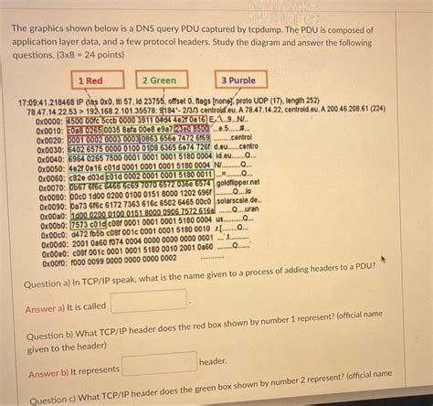 Solved The Graphics Shown Below Is A DNS Query PDU Captured Chegg