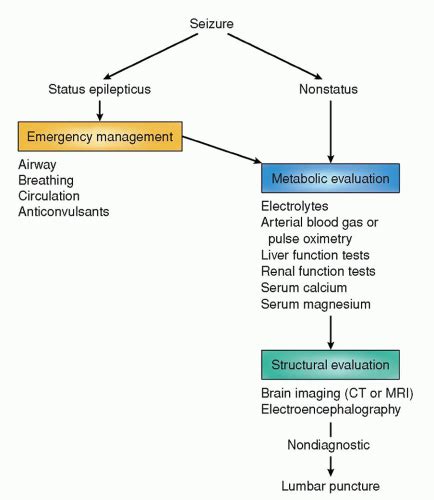 Brain Tumors Nurse Key