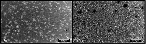 Microgravity Investigation Of Cement Solidification Mics Earth Vs