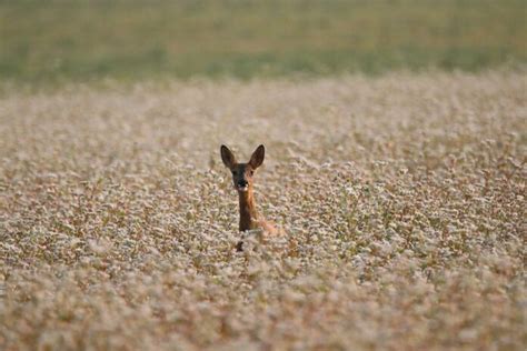 What Will Happen In Key Predictions And Trends