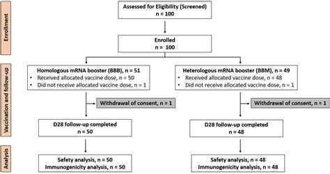 Figure 1 From Antibody Response Of Heterologous Vs Homologous Messenger