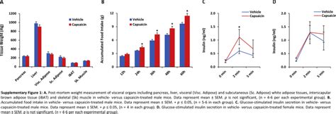 Trpv1 Neurons Regulate β Cell Function In A Sex Dependent Manner Pmc