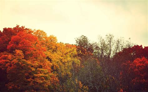 Fall Aesthetic Laptop Wallpapers Wallpaper Cave
