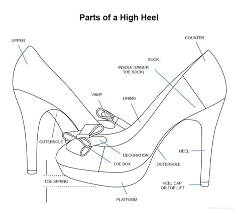 Shoe Anatomy Heel At Amanda Hackler Blog