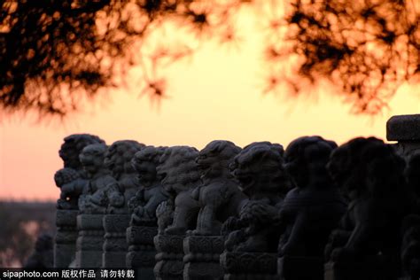 夕阳下卢沟桥上的石狮子千姿百态