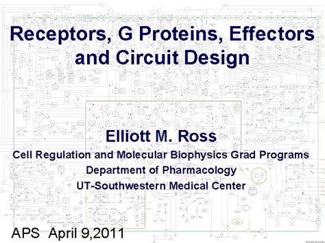 Receptors G Proteins Effectors And Circuit Design Elliott
