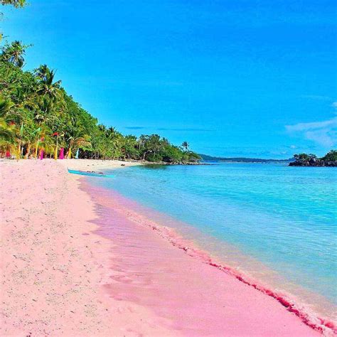 100 Pink Beach Aesthetic Wallpapers