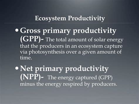 PPT Ecosystem Productivity PowerPoint Presentation Free Download ID 2417963
