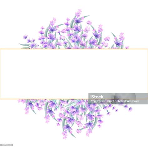 직사각형 골드 프레임에 라벤더 꽃 손으로 그린 수채화 일러스트레이션 초대장 인사말 카드 인쇄물 포스터 광고 0명에 대한 스톡 벡터 아트 및 기타 이미지 Istock