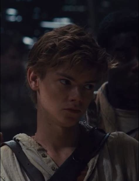 Pin By Sky Varrette On Thomas Brodie Sangster Newt Maze Runner Maze