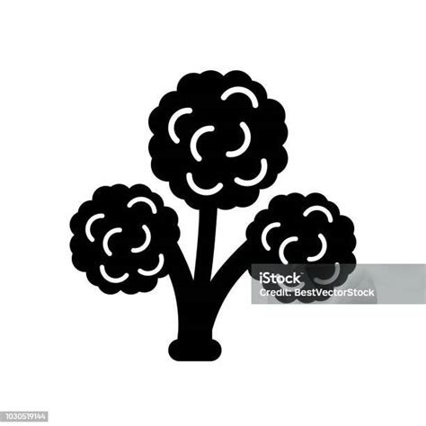 기호 음식 및 과일 기호 흰색 배경 브로콜리에 고립 된 브로콜리 아이콘 벡터 0명에 대한 스톡 벡터 아트 및 기타 이미지 0