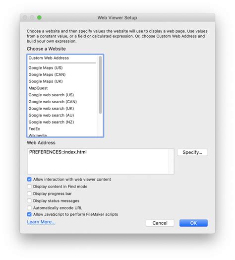 FileMaker JavaScript Web Viewer Integration DB Services