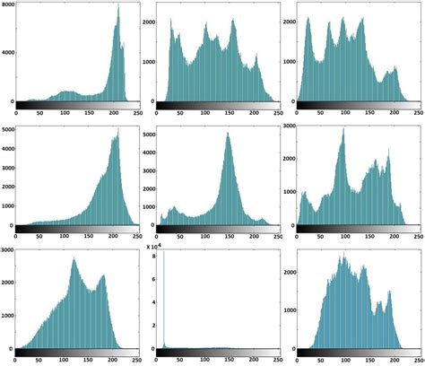 entropy free full text encryption algorithm of multiple image using mixed image elements and