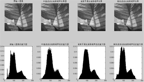 数字图像处理，经典滤波算法去噪对比实验（matlab实现）图像去噪前后对比 Csdn博客