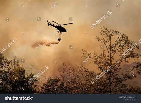134 Korea 소방관 이미지 스톡 사진 및 벡터 Shutterstock 134 Korea 소방관 이미지 스톡 사진 및 벡터 Shutterstock