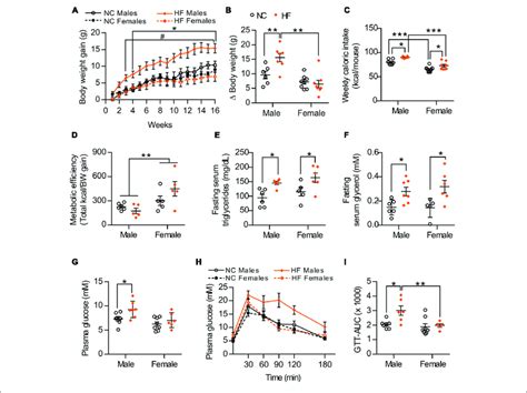 Sex Differences In The Development Of Diet Induced Obesity And Download Scientific Diagram