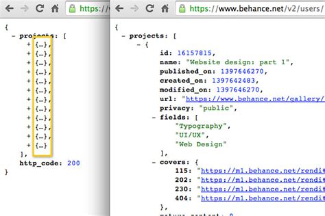 how to use the behance api to build a custom portfolio web page