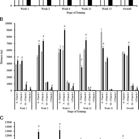 Daily Distance Covered For Men And Women A Total Daily Distance B Download Scientific
