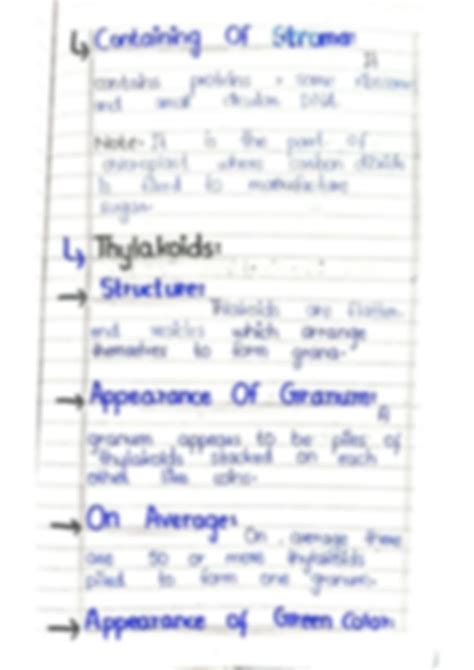 SOLUTION Biology Detail Notes On Plastids Types Of Plastids Their Structure And Function For