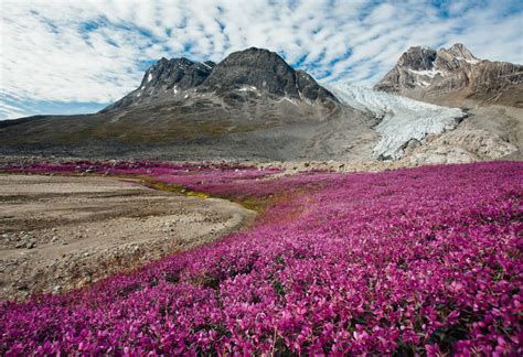 Groenlandia La Isla Más Grande Del Mundo Mi Viaje
