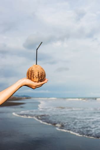 발리에서 바다 연안에서 코코넛을 들고 여자의 손 로고에 대 한 빈 공간으로 푸른 열 대 배경입니다 여름에 감기와 건강 음료 갈색에 대한 스톡 사진 및 기타 이미지 Istock