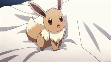 Eevee Pokemon  Eevee Pokemon Yawn Discover And Share S
